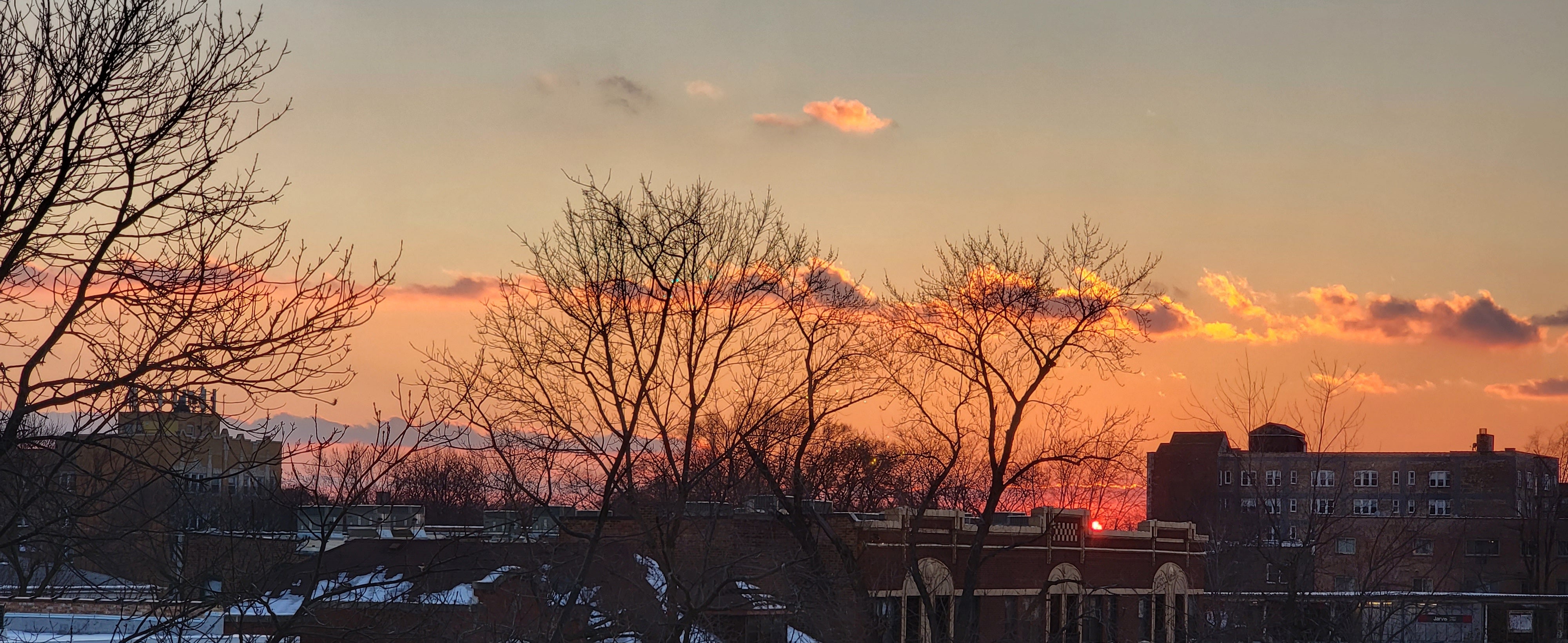 Giclee Prints – hazel arch